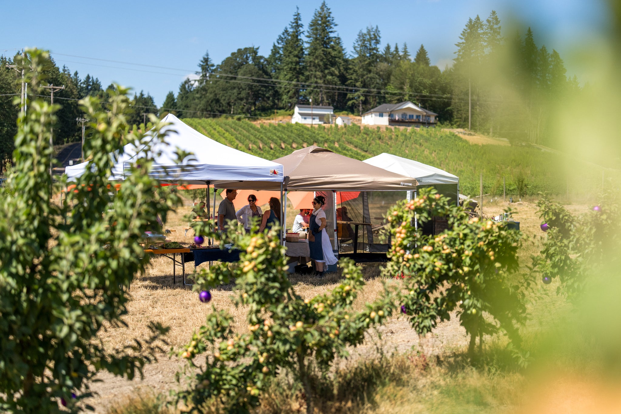 Visit Us | RAW Cider