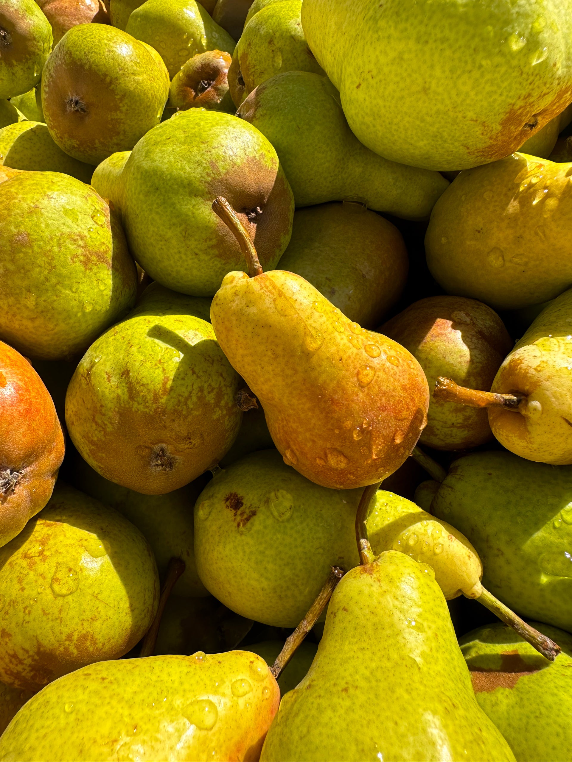 About US | RAW Cider