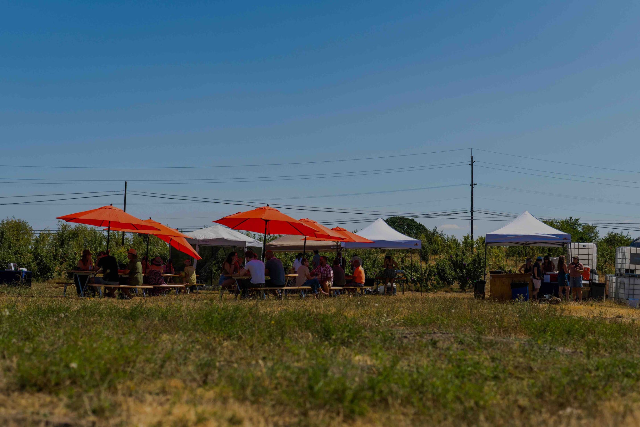 Visit Us | RAW Cider